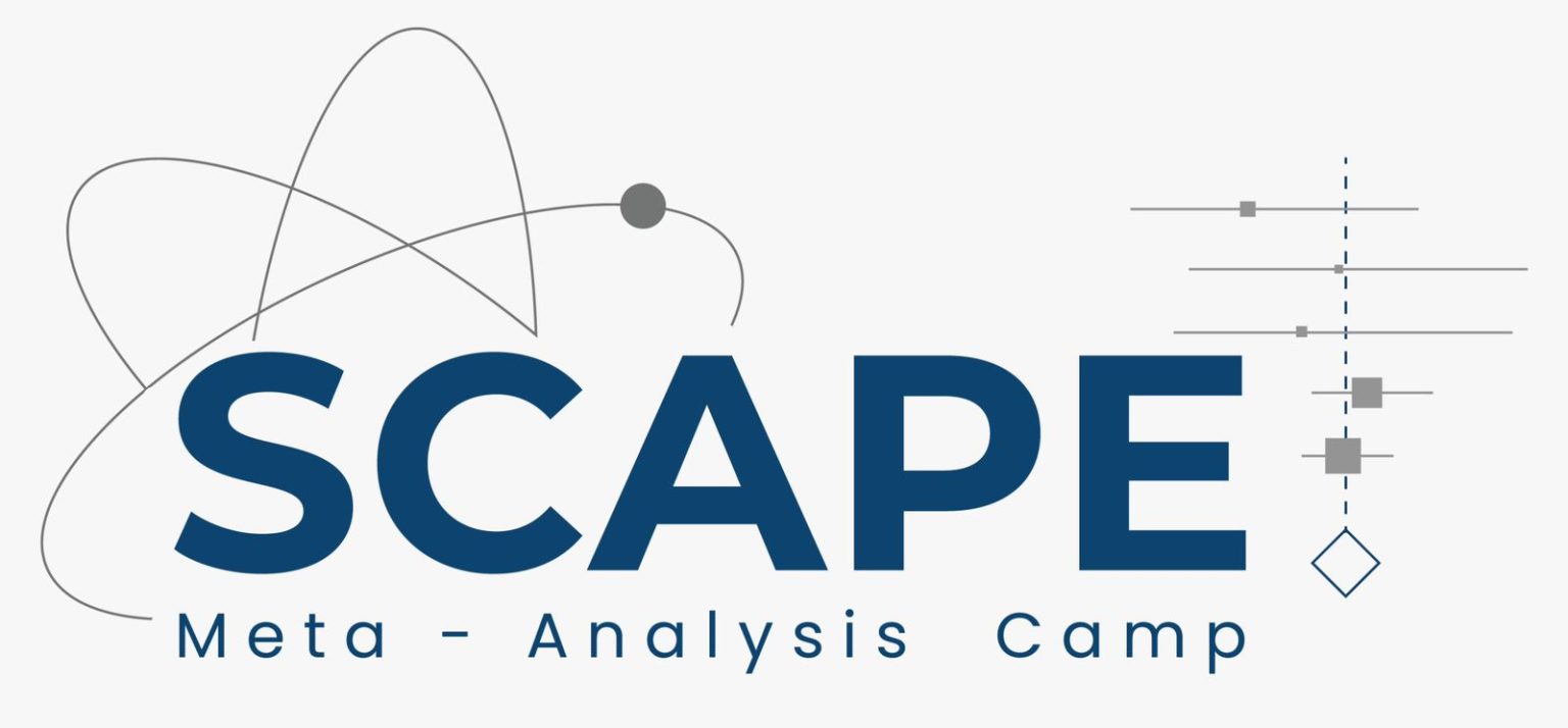SCAPE Meta-Analysis Research Camp 2025 – SCAPE